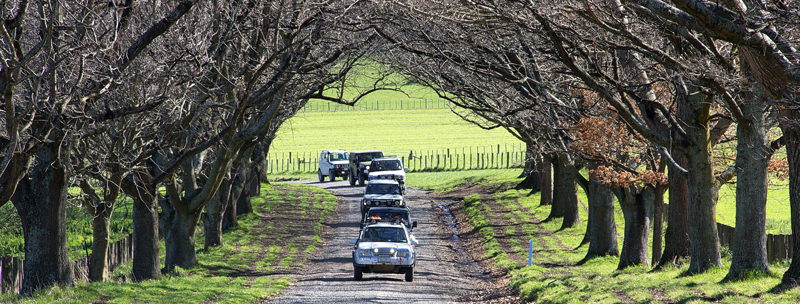 Weekend drive | NZ SUV